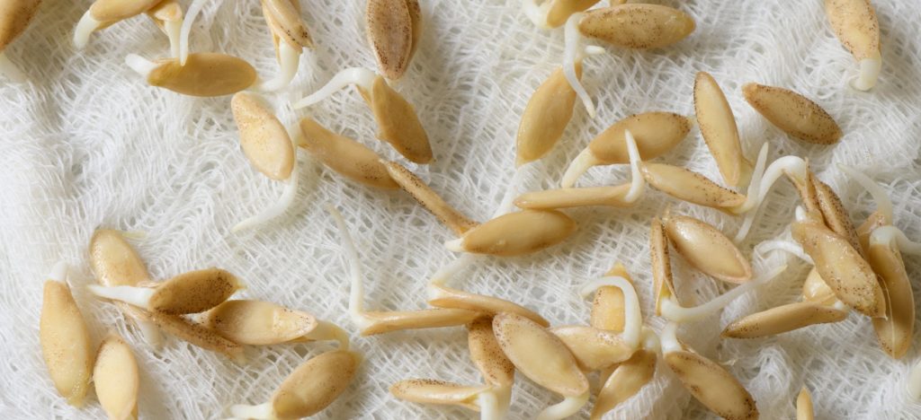 test-semi - Tomappo blog